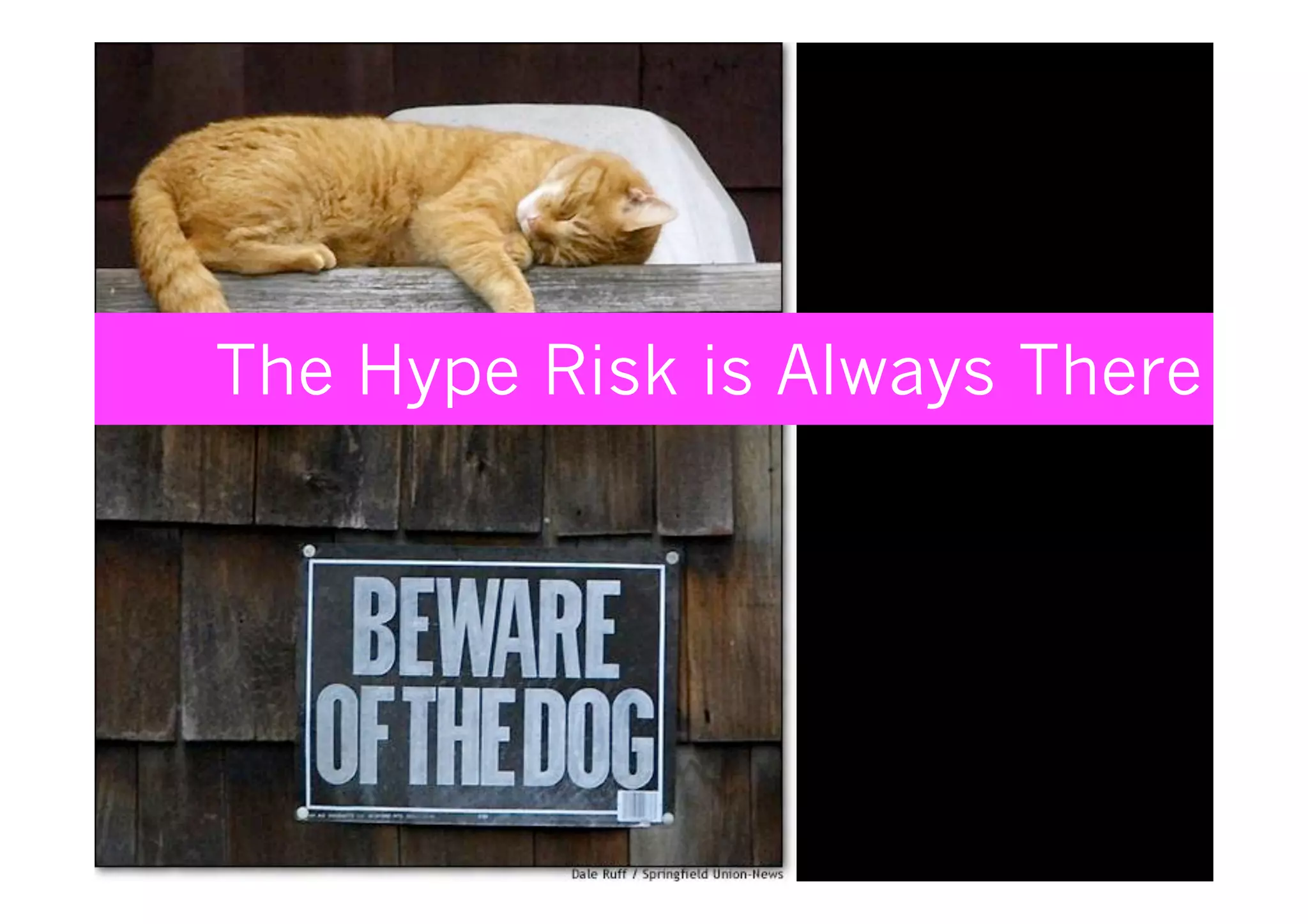 Social Networks: Hype Vs Reality | PDF