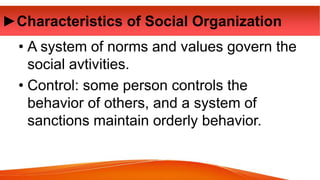 SOCIAL-ORGANIZATION.pptx