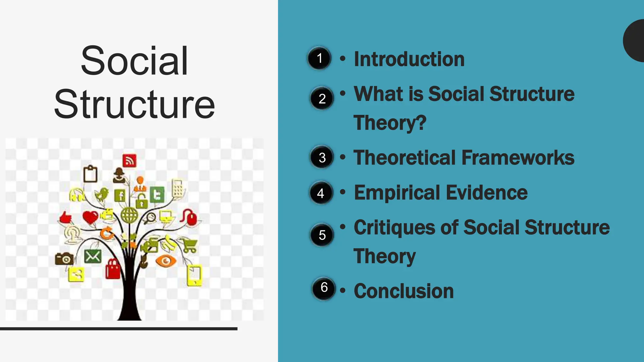 SOCIAL-STRUCTURE-THEORY.pptx
