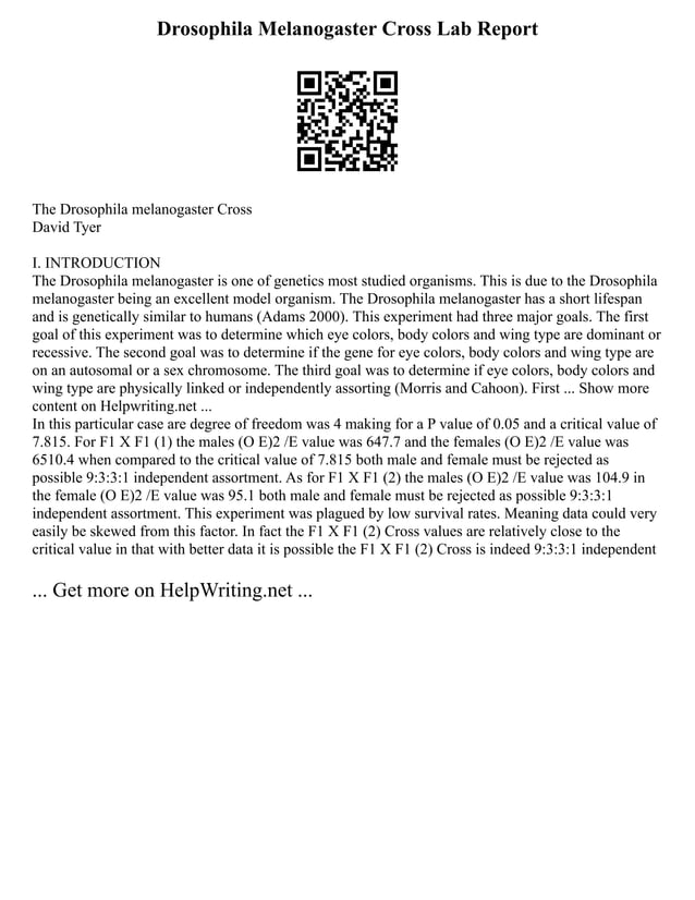 Social 30-1 - Examples Of Position Paper Paragraph | PDF