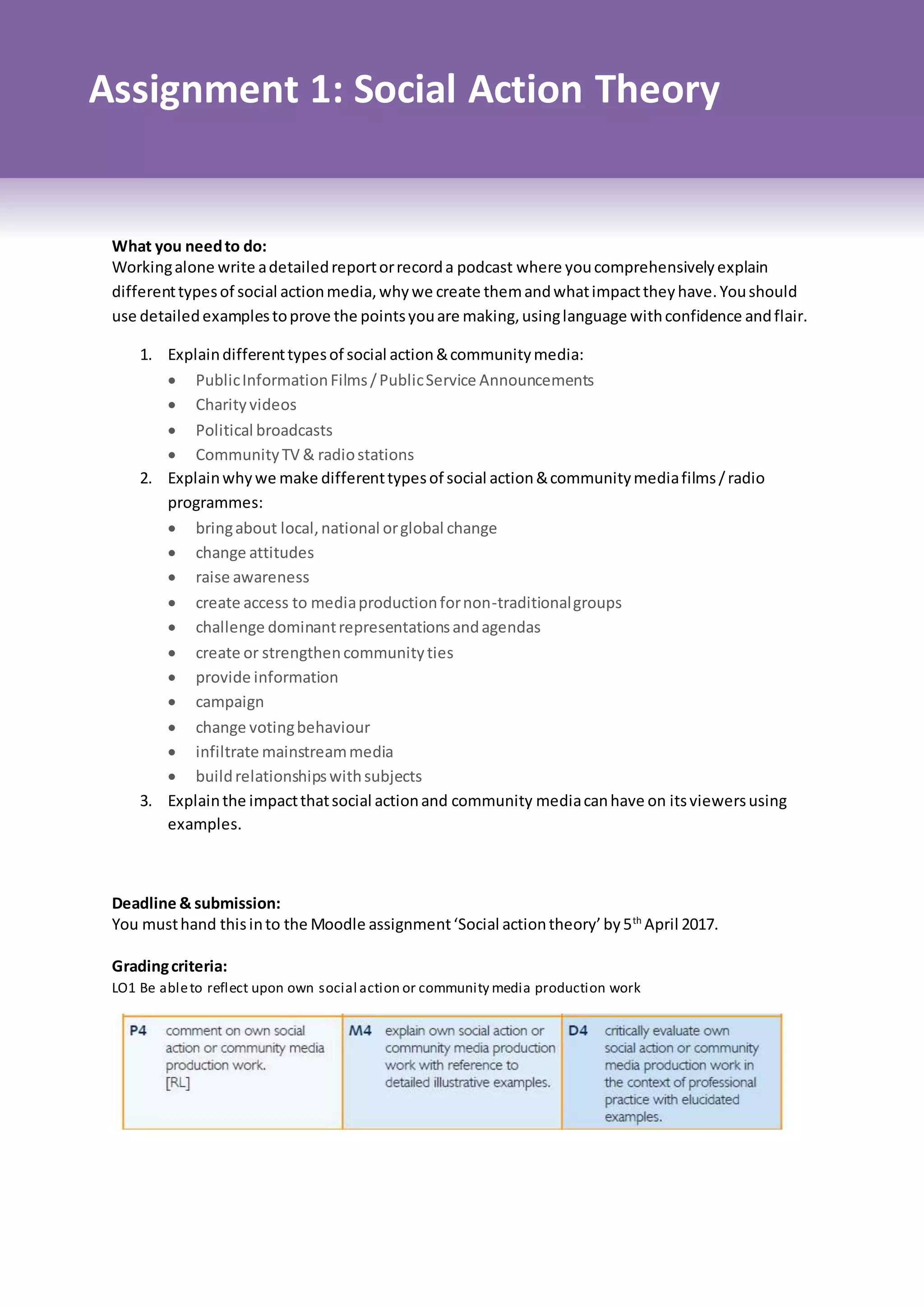 Social action theory (brief) | PDF