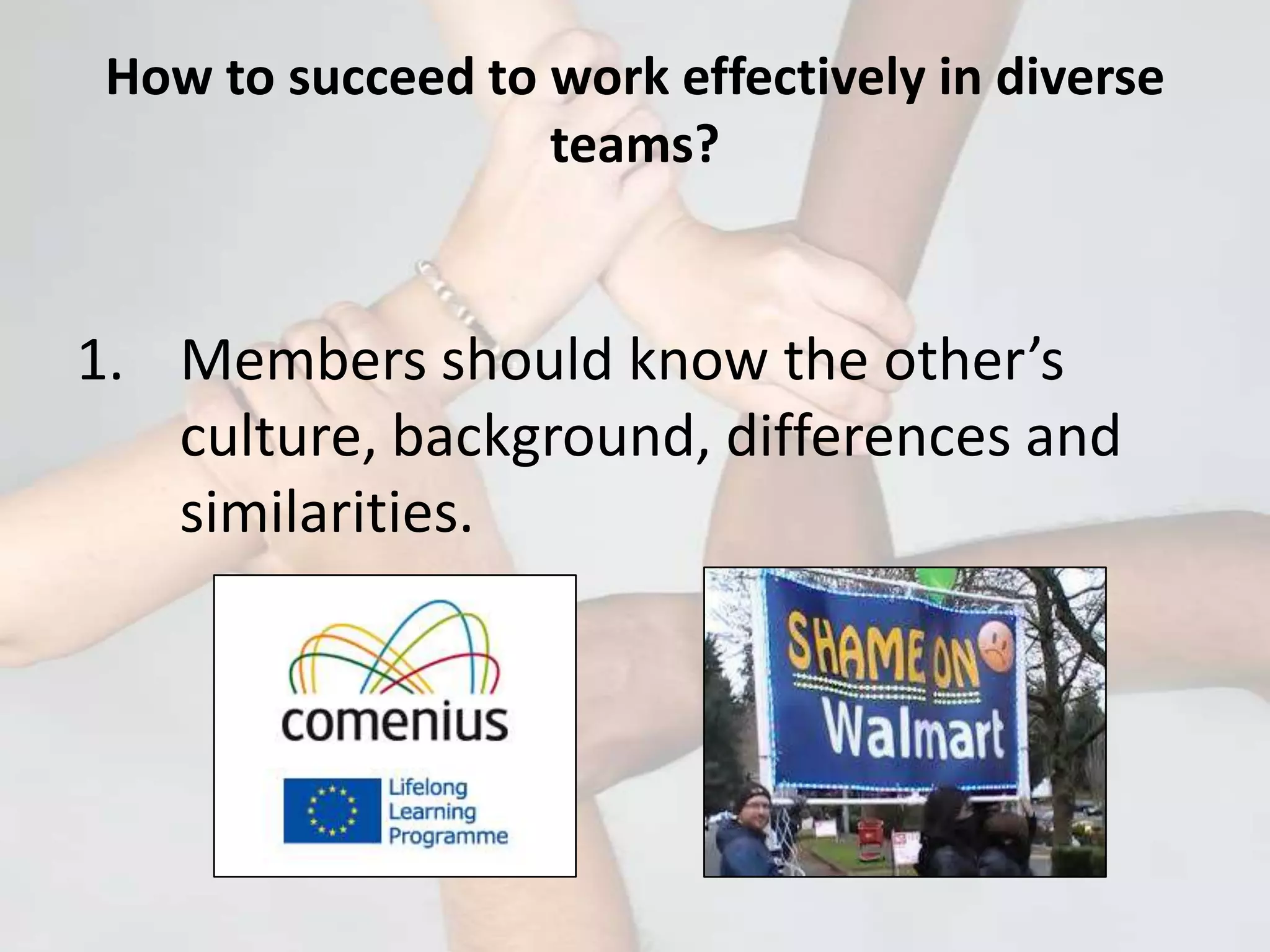 Working Effectively in Diverse Teams | PPTX