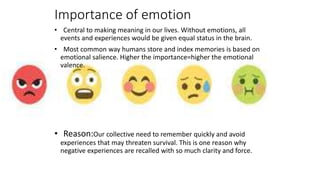 Introduction to Social and Emotional Development | PPTX