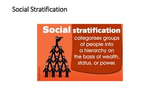 Social and Political Stratification | PPTX