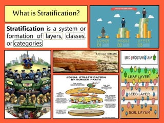 Social and Political Stratification | PPTX