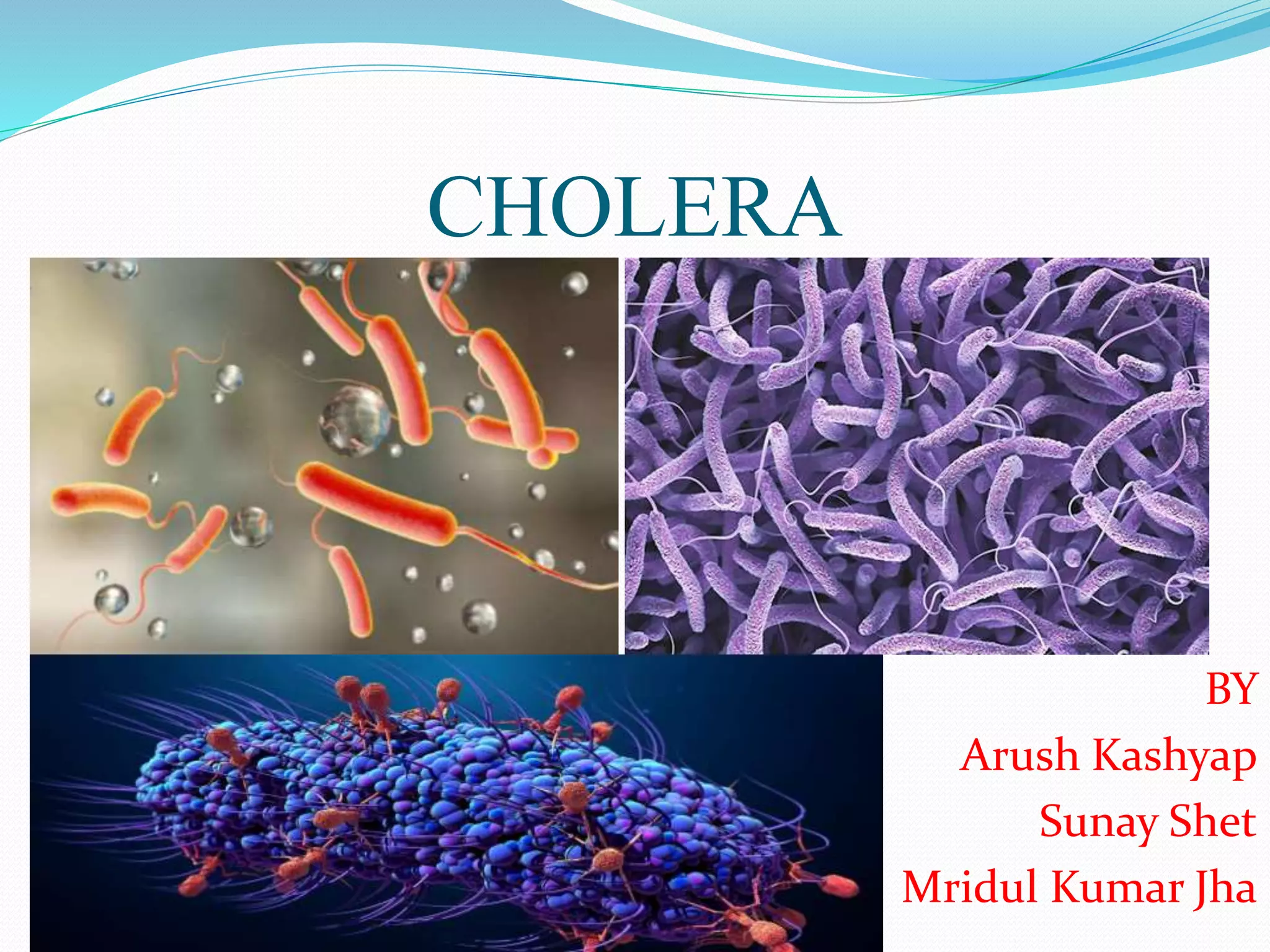 CHOLERA | PPT