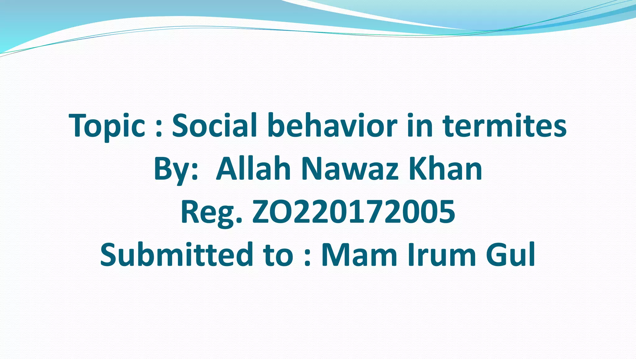 Social behavior in termites | PPTX