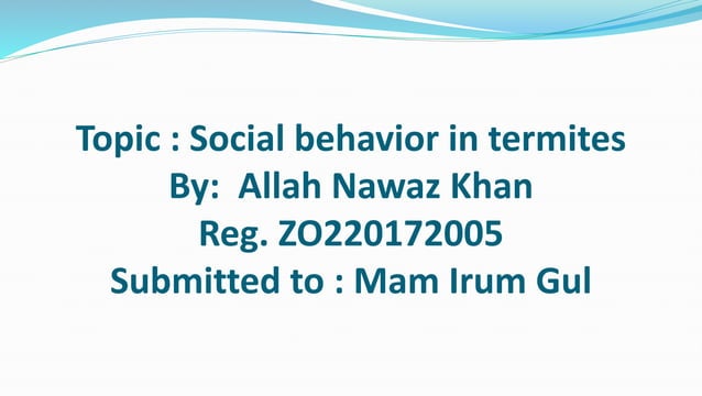 Social behavior in termites | PPTX