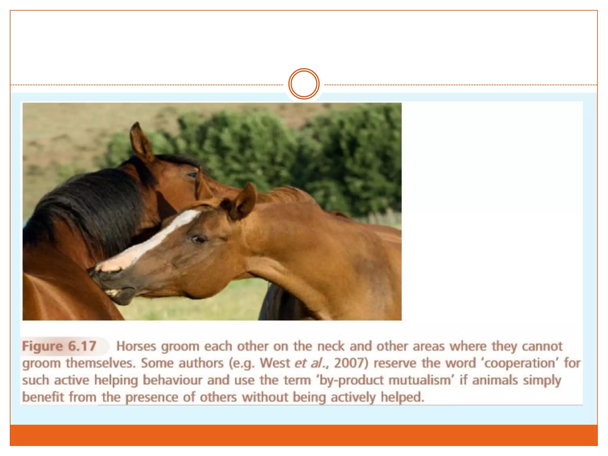 Social Behavior in Animals | PDF