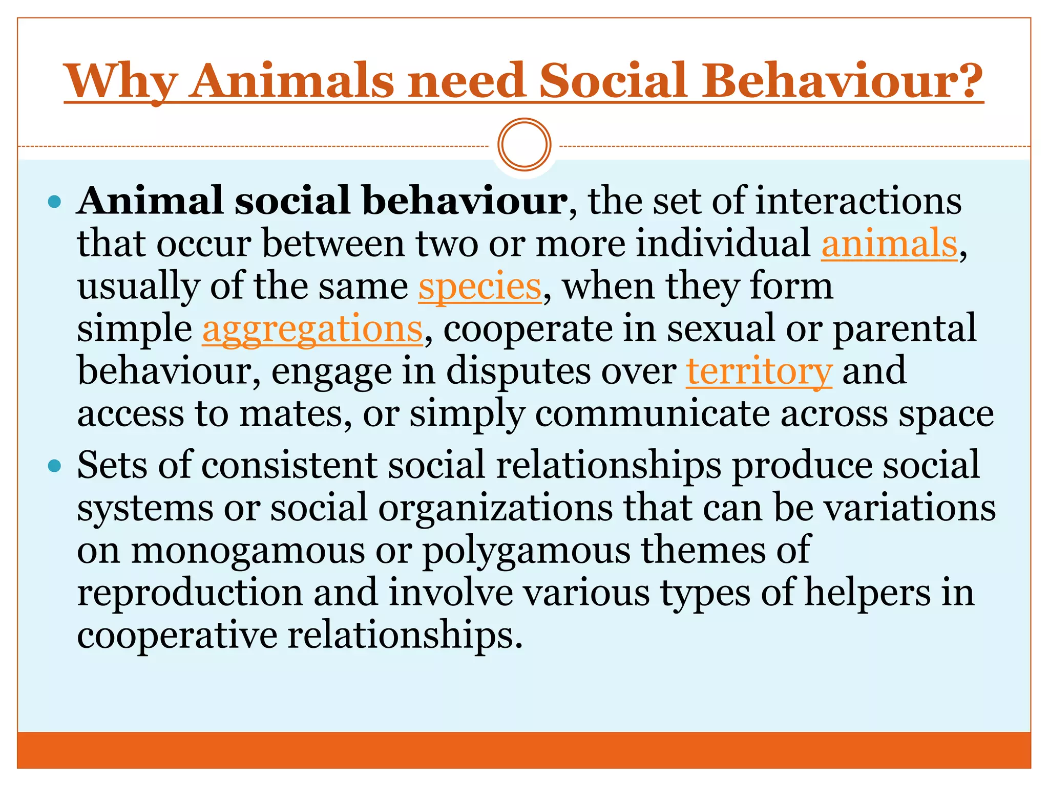 Social Behavior in Animals | PDF