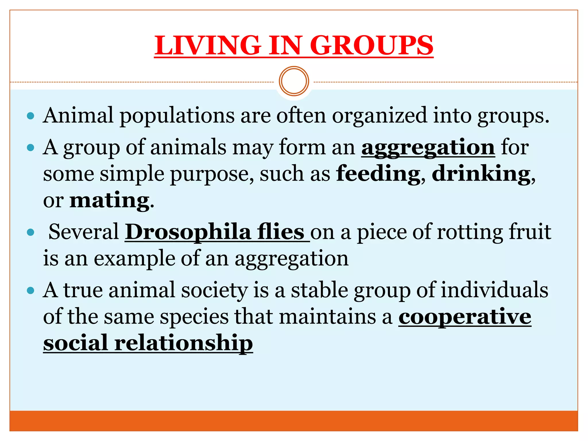 Social Behavior in Animals | PDF