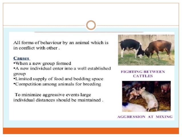 Social Behavior in Animals | PDF
