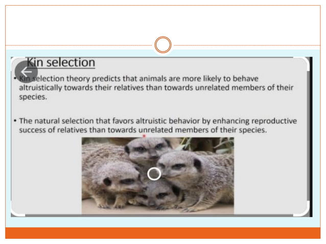 Social Behavior in Animals | PDF