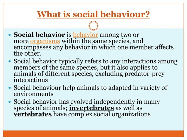 Social Behavior in Animals | PDF