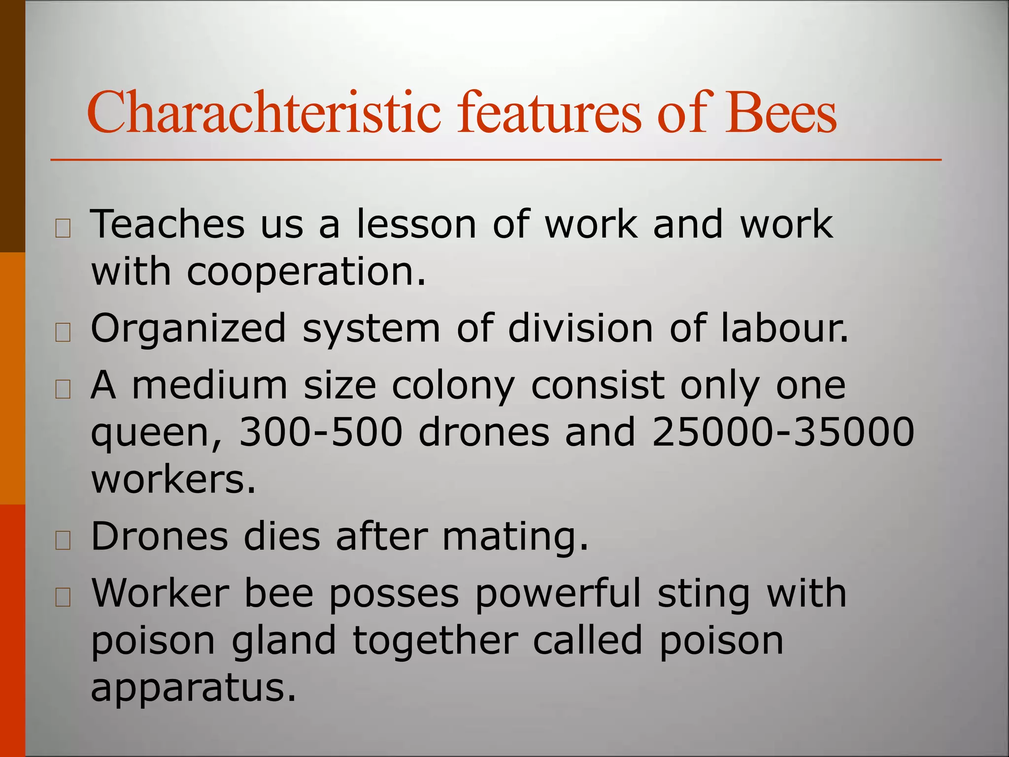 Social behavior in honey bees | PPTX