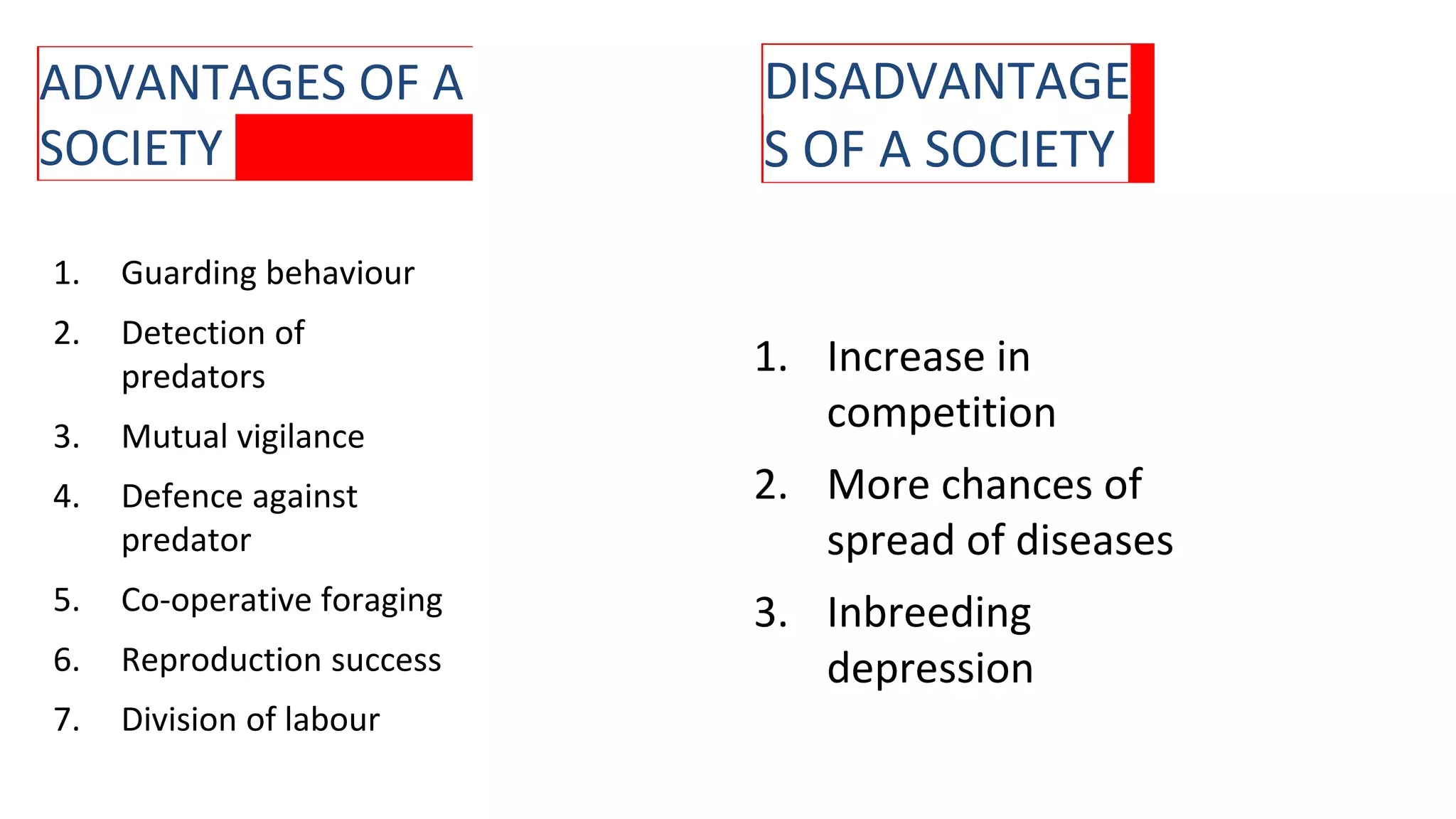 Social Behaviour of Insects - Archit KS@DEI.pptx