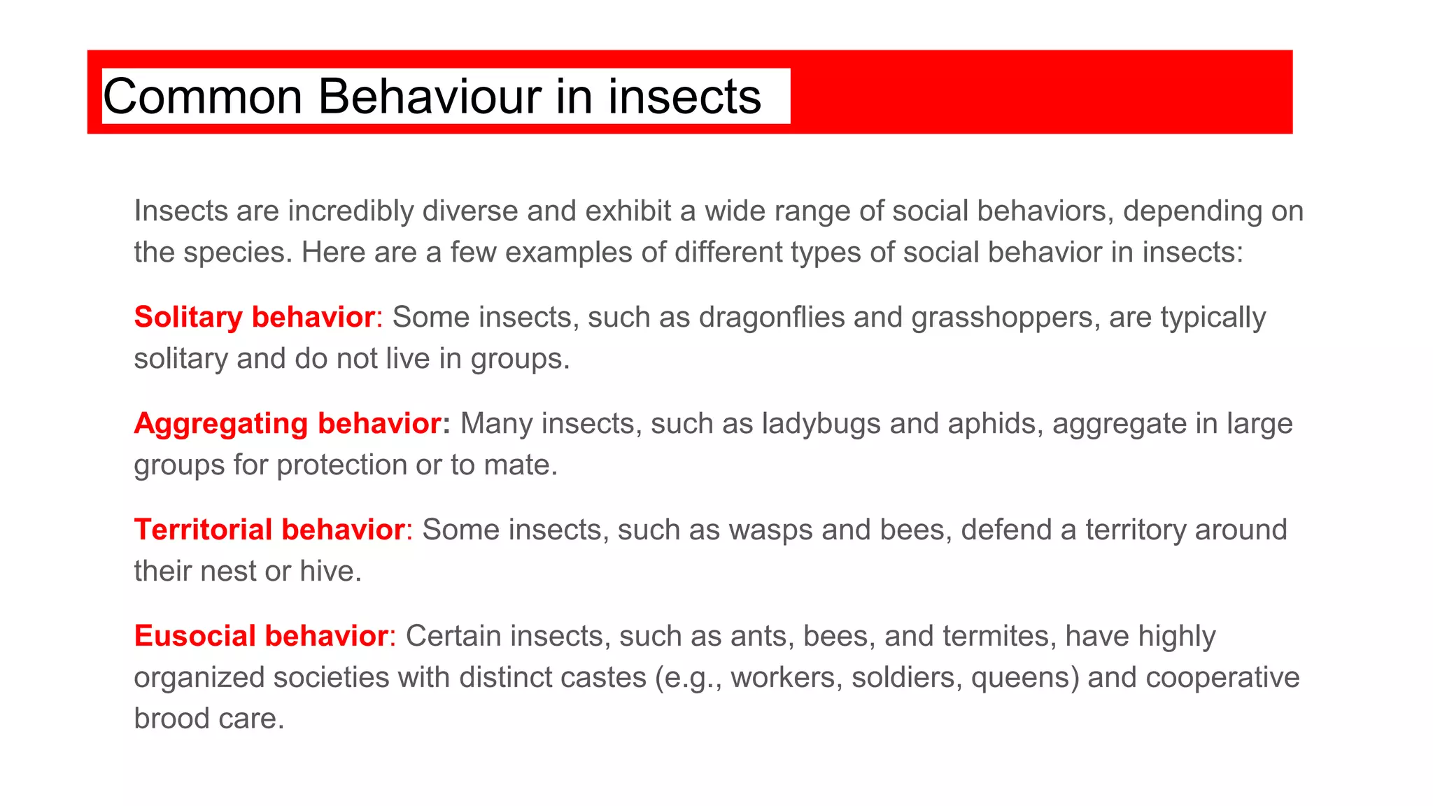 Social Behaviour of Insects - Archit KS@DEI.pptx