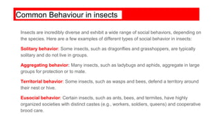 Social Behaviour of Insects - Archit KS@DEI.pptx