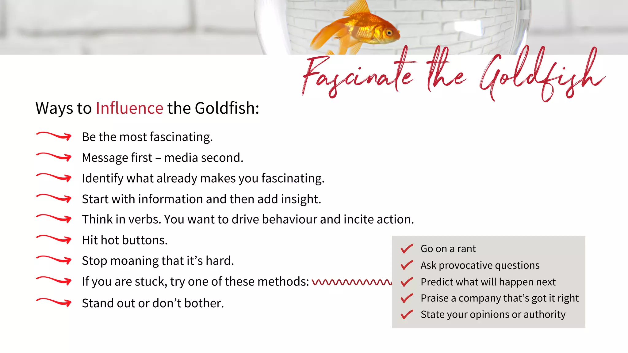 Social Boom Book Exploration | PPT