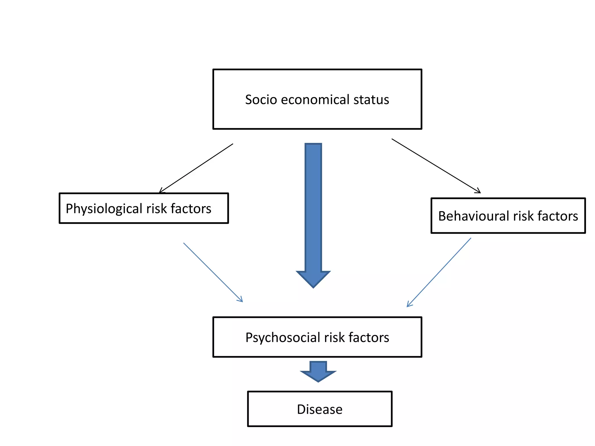 Social causes of disease | PPTX