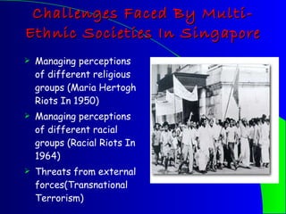 Social cohesion in singapore | PPT