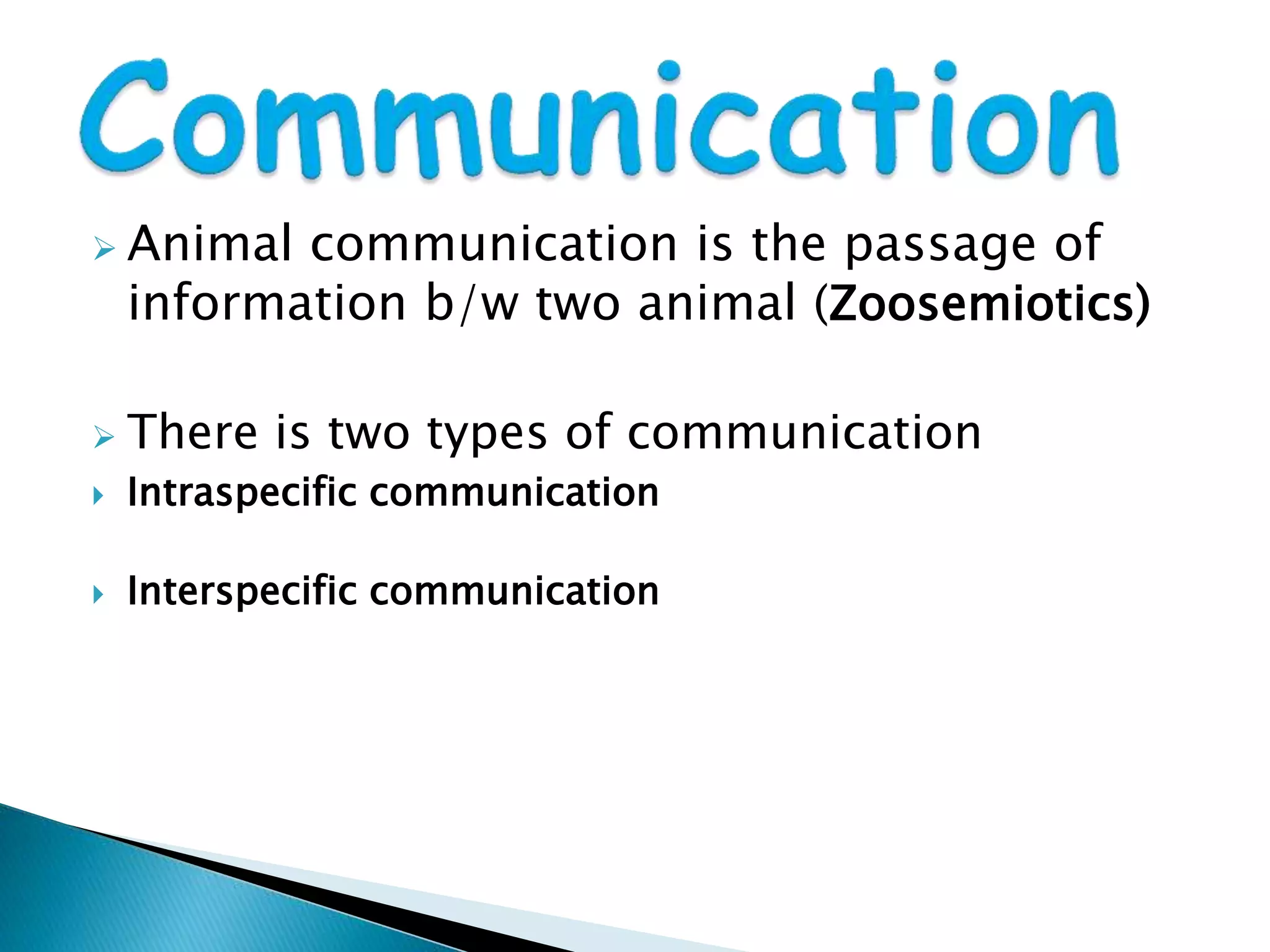 Social communication among honey bees | PPTX