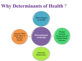 Social determinants of health | PPTX