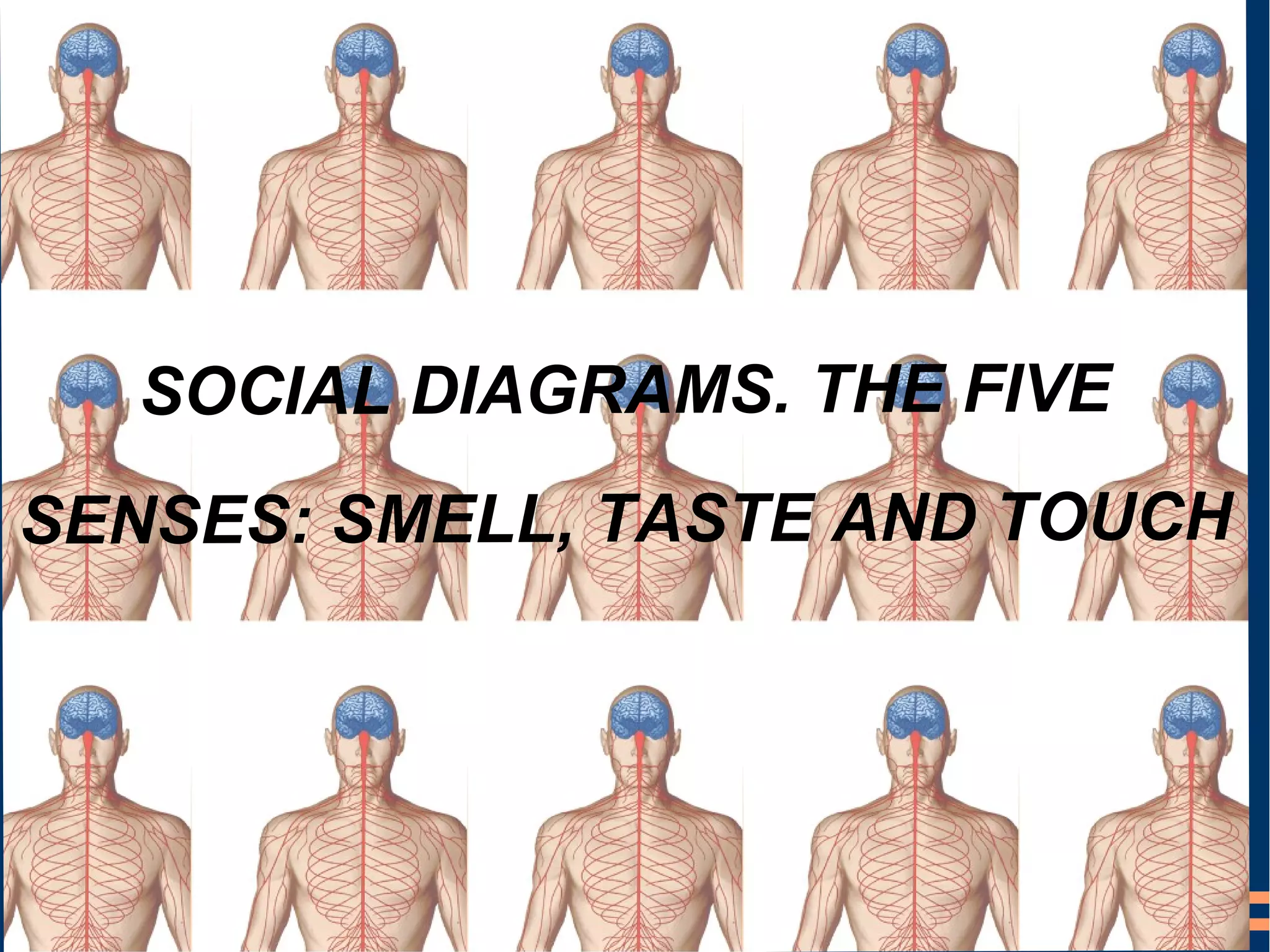 Social diagrams smell, taste and touch | PPT