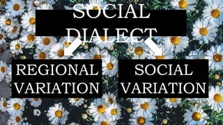 Social dialect | PPTX