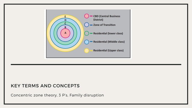 Social disorganization theory | PDF | Crime & Harmful Acts to ...