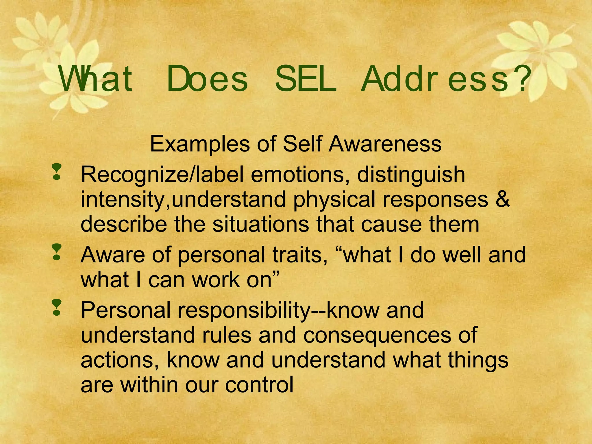 Social emotional learning | PPT