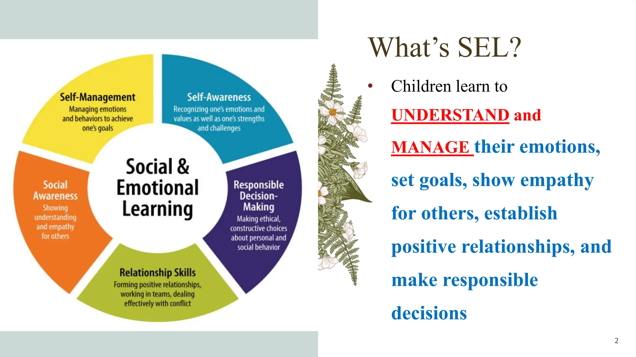 Social Emotional Learning for Primary, Secondary and High school | PPTX