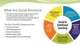 Social Emotional Wellbeing Ppt.pptx