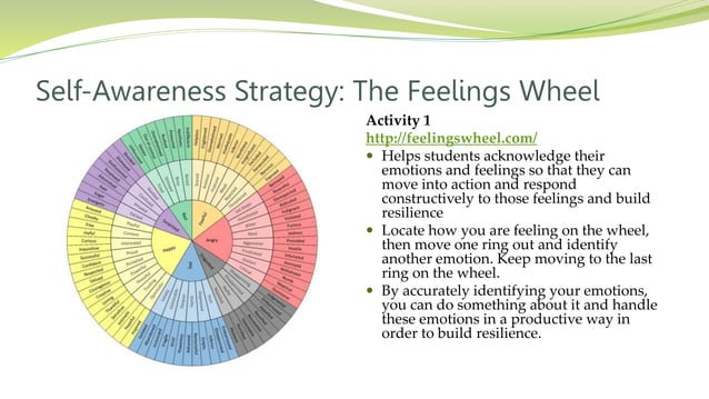 Social Emotional Wellbeing Ppt.pptx
