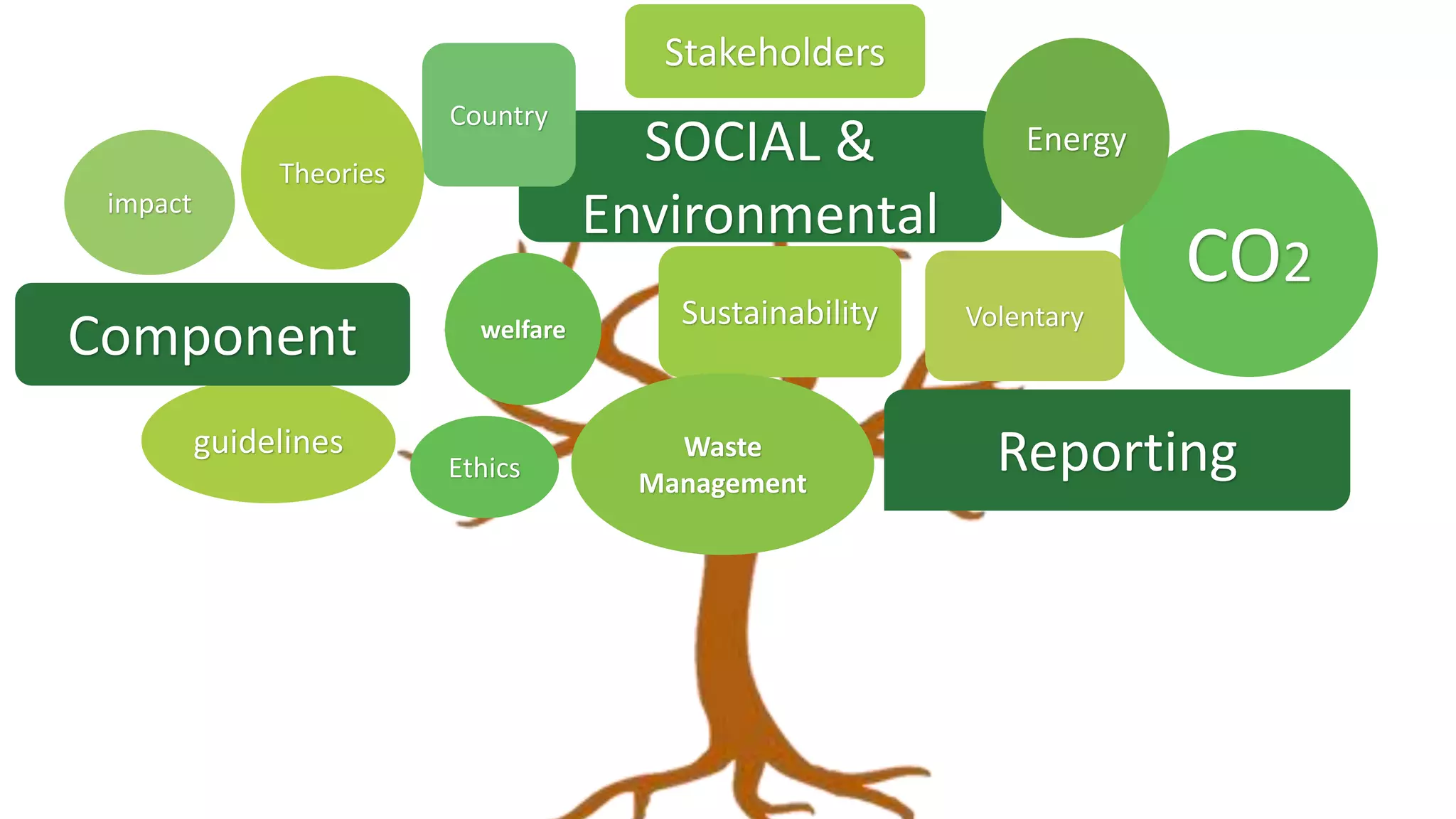 Social & environmental reporting | PPSX