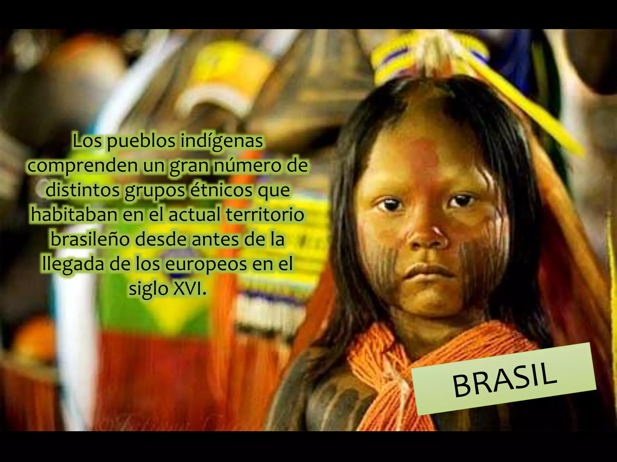 Diversidad étnica y cultural en América Latina | PPT
