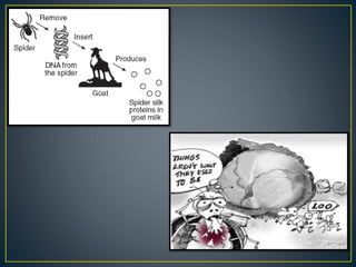 Social & ethical issues in genetic engineering | PPTX