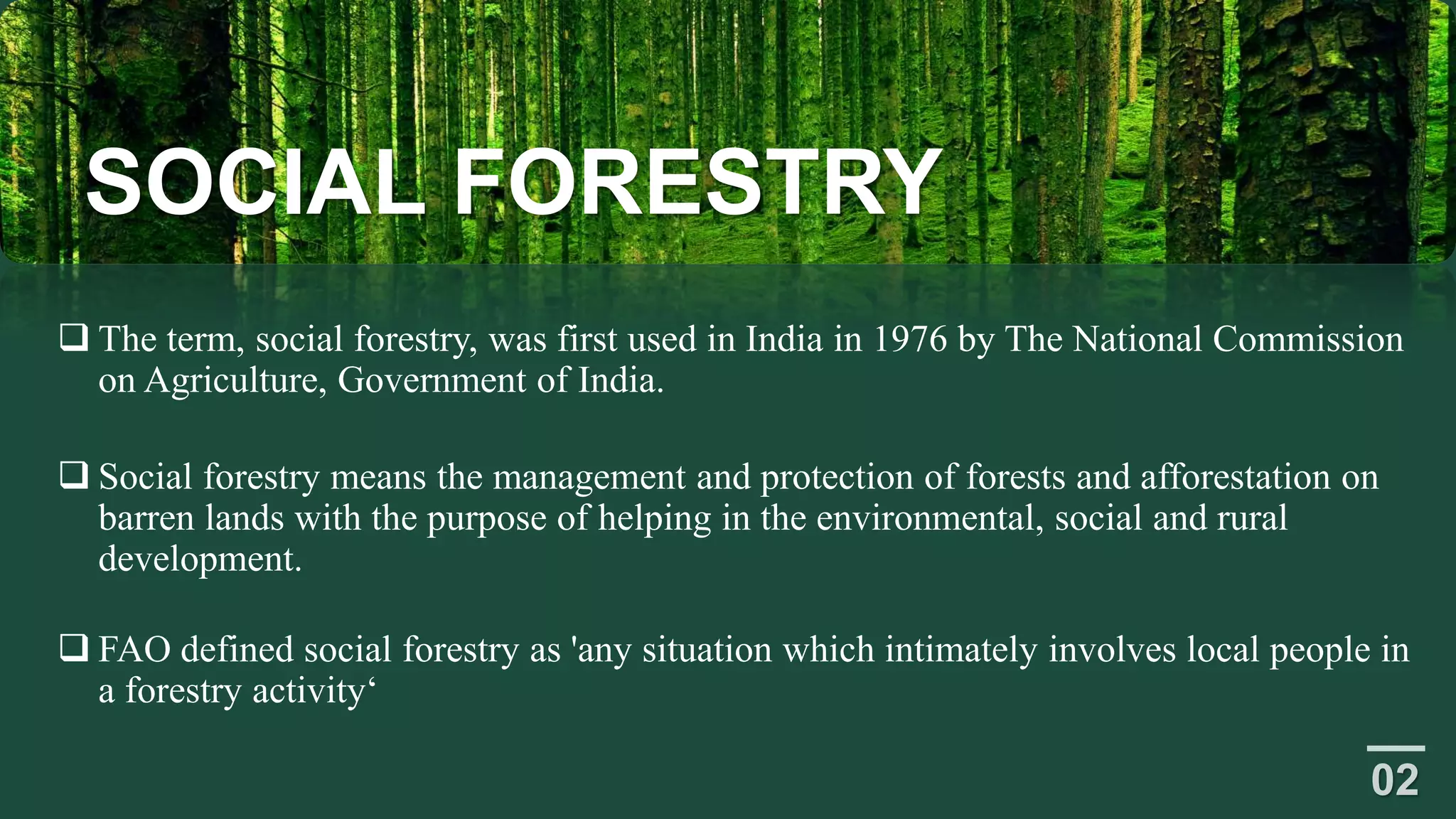 Forestry Development Projects in Bangladesh | PPTX | Agriculture ...
