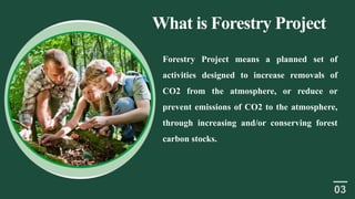 Forestry Development Projects in Bangladesh | PPTX | Agriculture ...