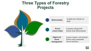 Forestry Development Projects in Bangladesh | PPTX | Agriculture ...