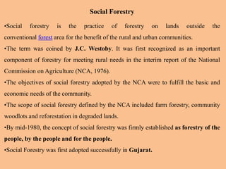 Social Forestry.pptx