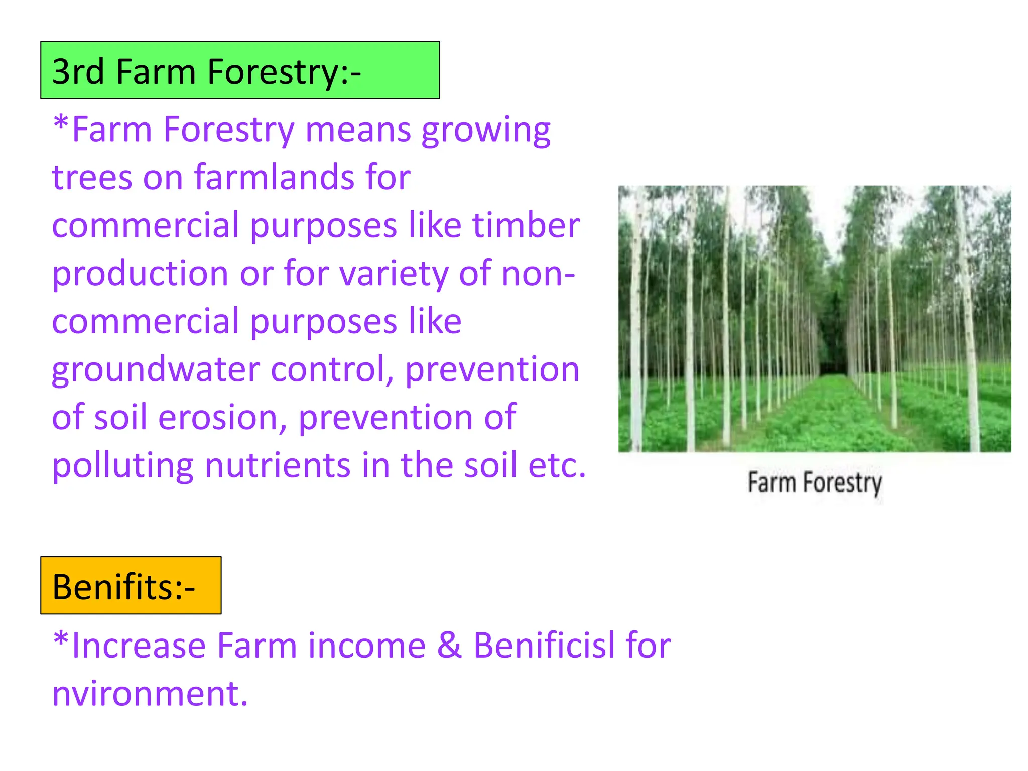 Social Forestry.ppt