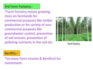 Social Forestry.ppt