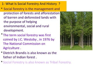 Social Forestry.ppt