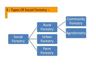Social Forestry.ppt
