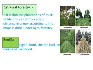 Social Forestry.ppt
