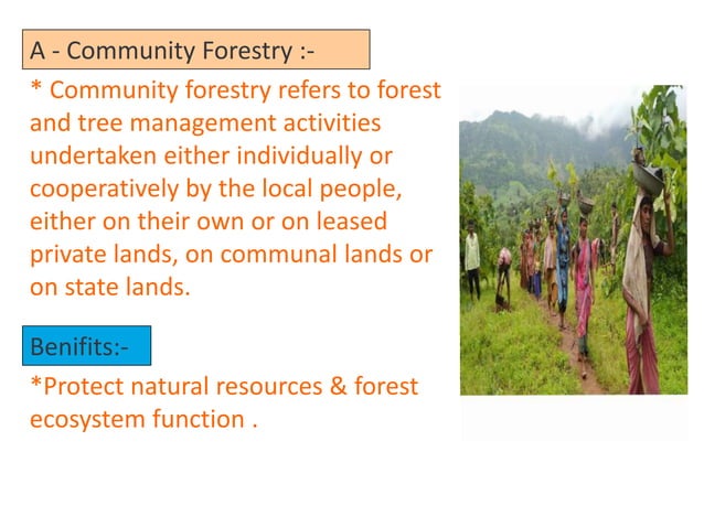 Social Forestry.ppt