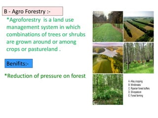 Social Forestry.ppt
