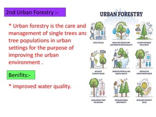 Social Forestry.ppt