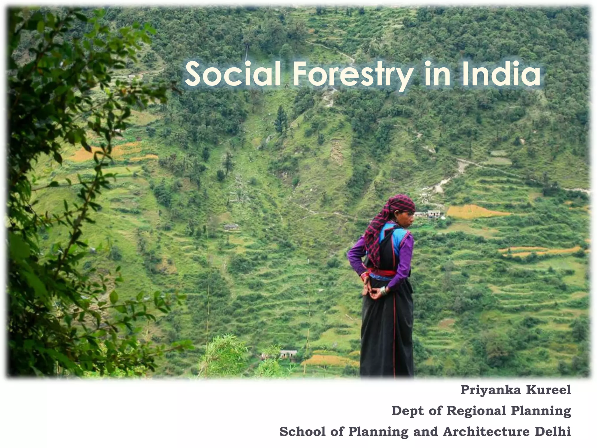 Social Forestry in India | PDF